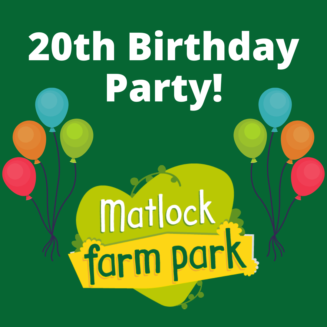 A220487C-1425-4BB9-A6BB-3CD767E991DD | Matlock Farm Park
