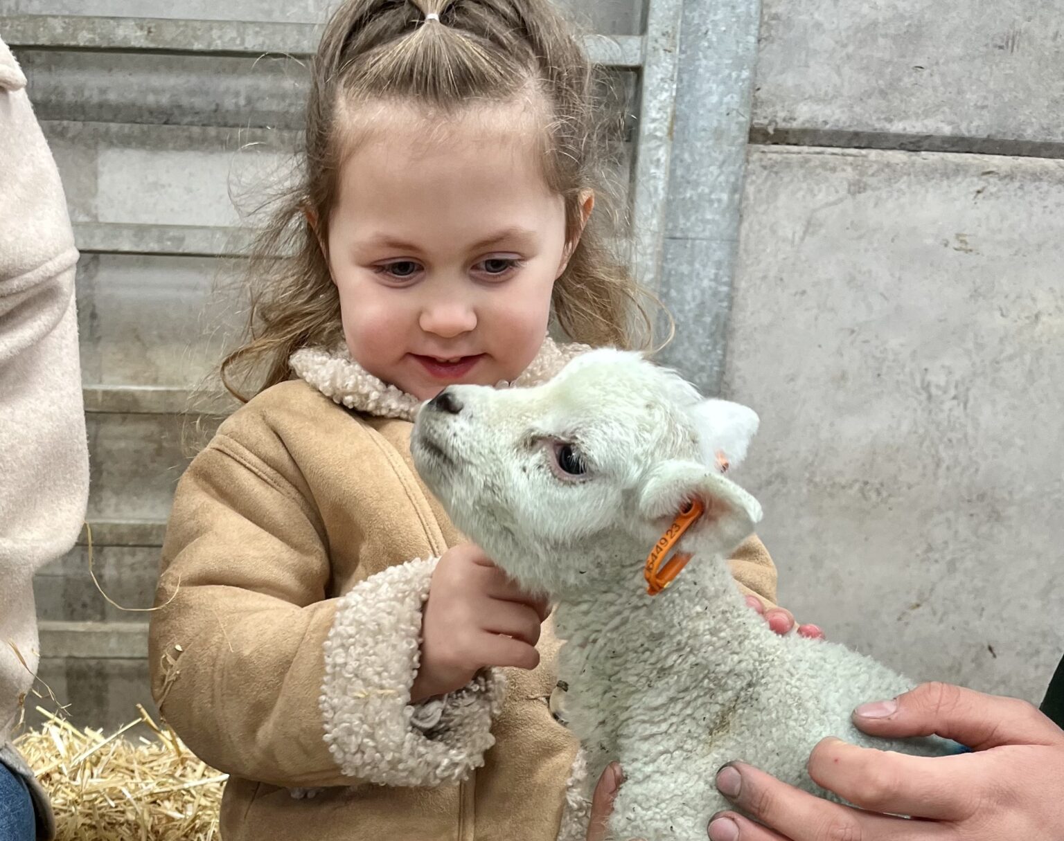 Easter Eggs-stravaganza! | Matlock Farm Park