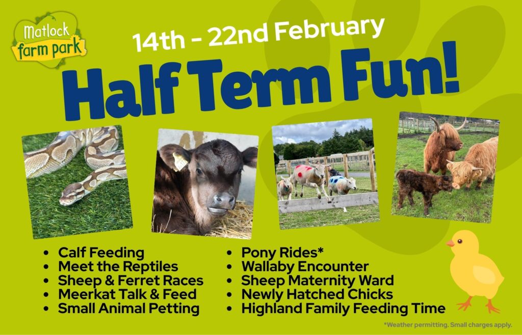 February Half Term Fun! | Matlock Farm Park