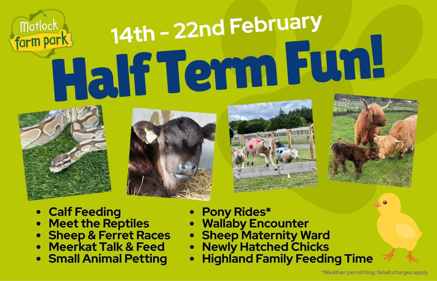 February Half Term Fun! | Matlock Farm Park