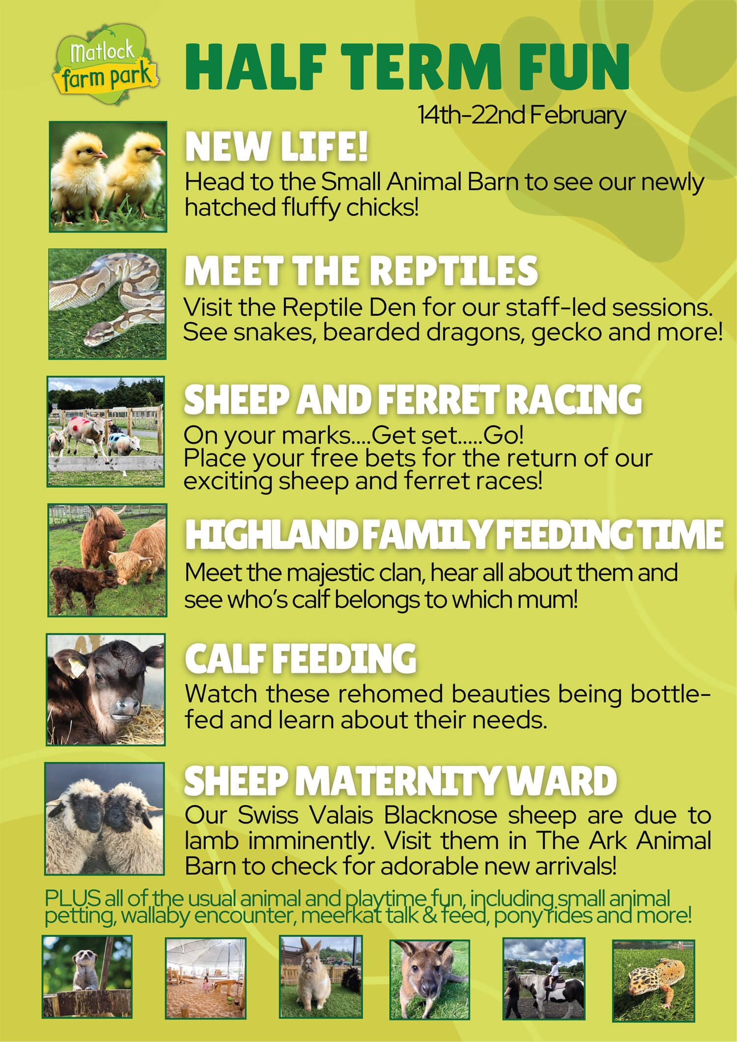 Matlock Farm Park